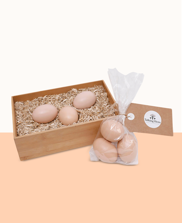 Nesting Eggs – Talking Hens