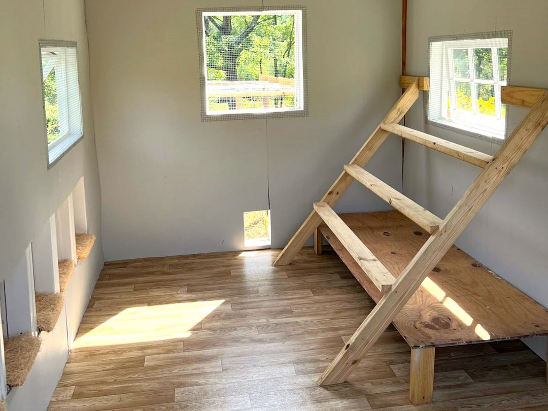 Step-by-Step Guide to Choosing the Best Perches for Your Chickens ...