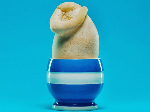 Is it time to deworm your chickens? – Talking Hens