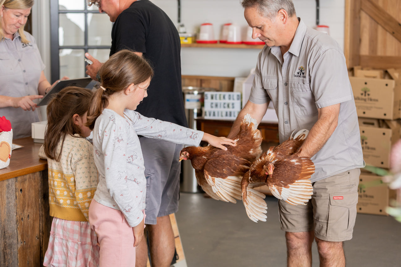 Sustainable Layer Feed – Talking Hens Premium Chicken Feed