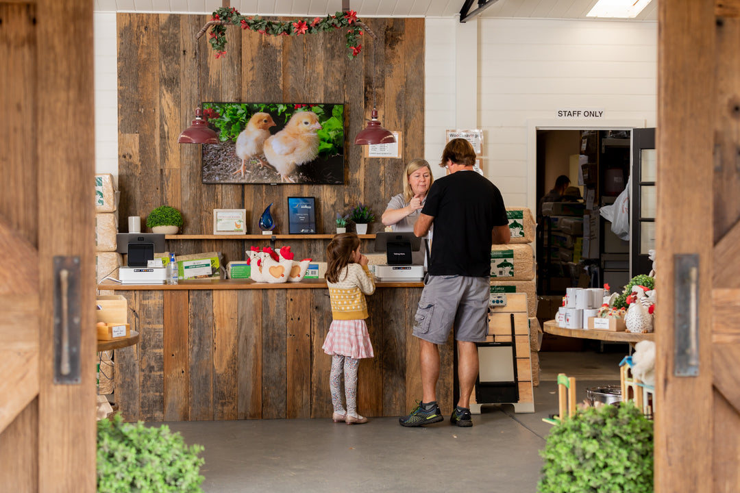 About Us | Talking Hens