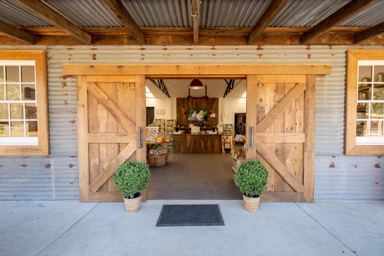 Hemp Nesting – Talking Hens