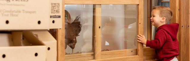 Chicken Keeping Events & Tips | Talking Hens