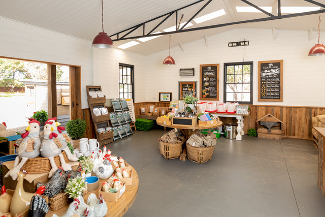 About Us | Talking Hens