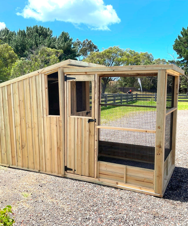 All – Talking Hens