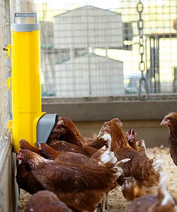 All Products | Talking Hens – Chicken Feed, Coops & More