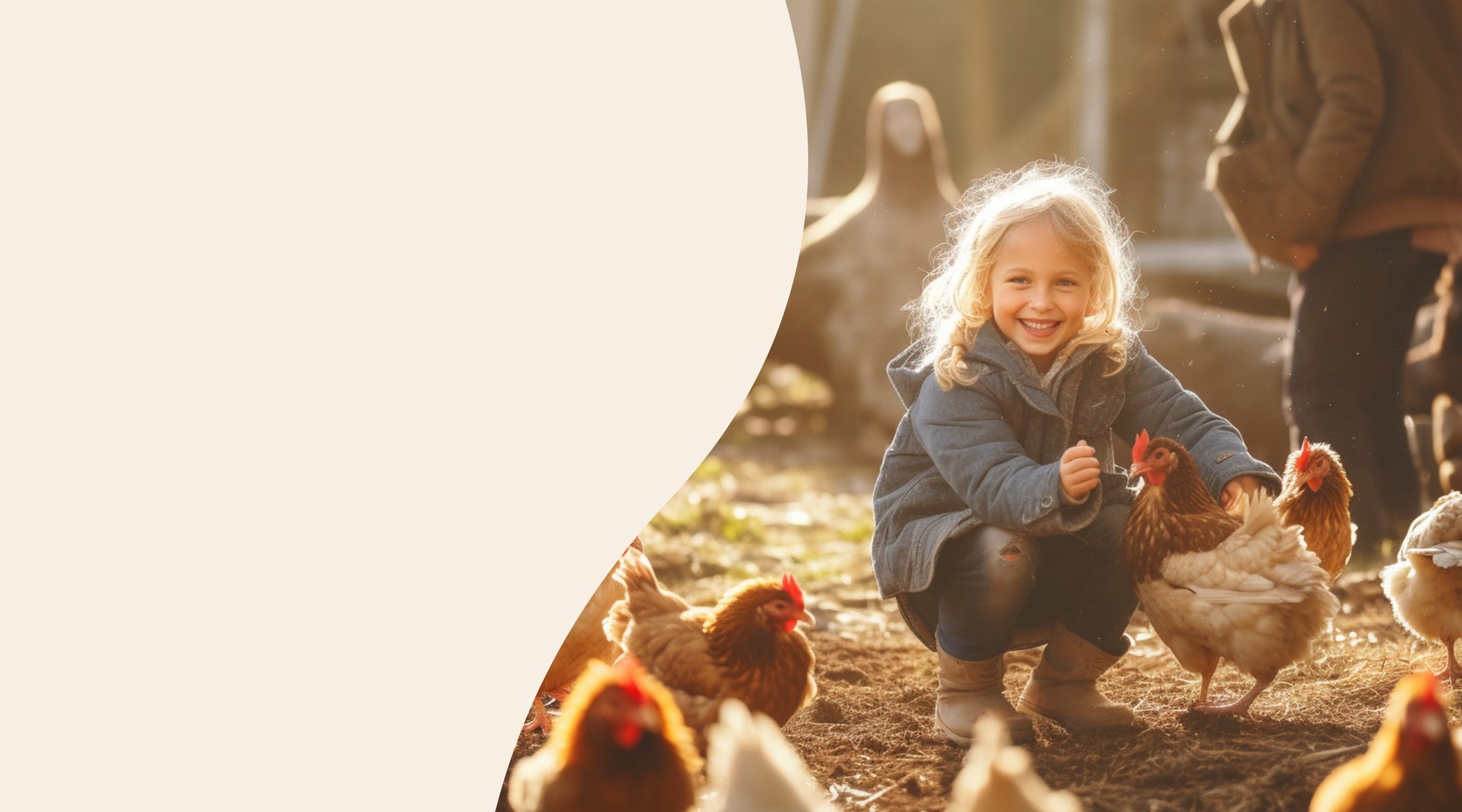 Talking Hens | Backyard Chickens, Coops & Quality Feed