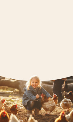 Talking Hens | Backyard Chickens, Coops & Quality Feed