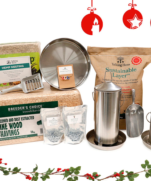 Chickens – Talking Hens