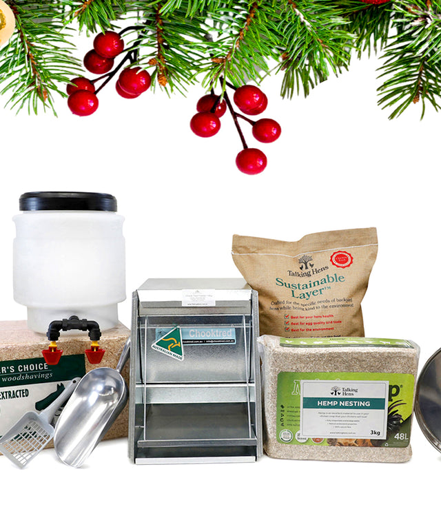 Chickens – Talking Hens