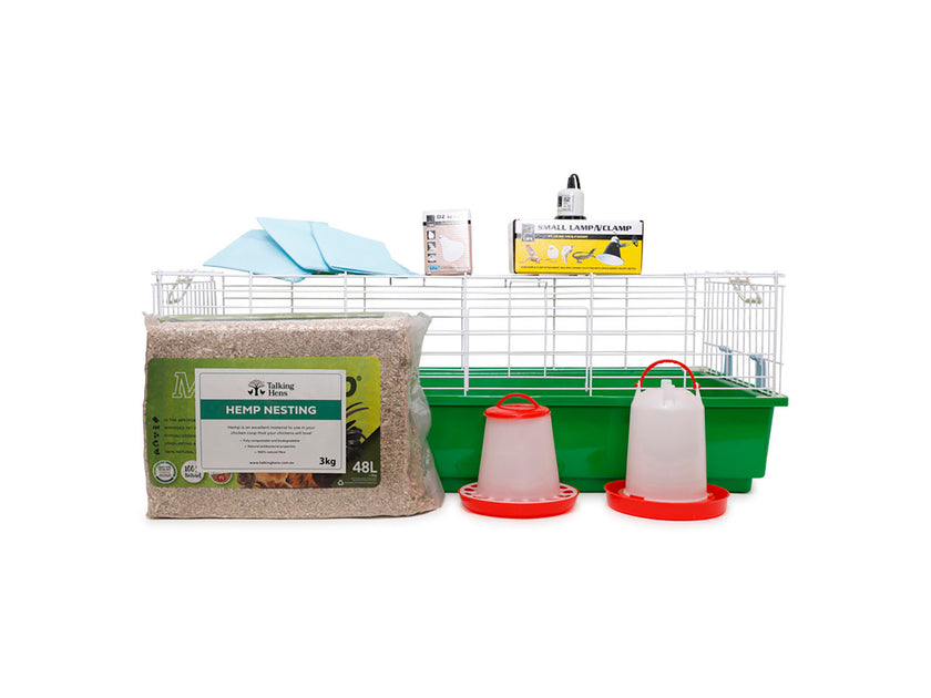 Chick Starter Kit – Talking Hens