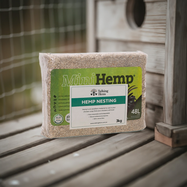 Hemp Nesting – Talking Hens