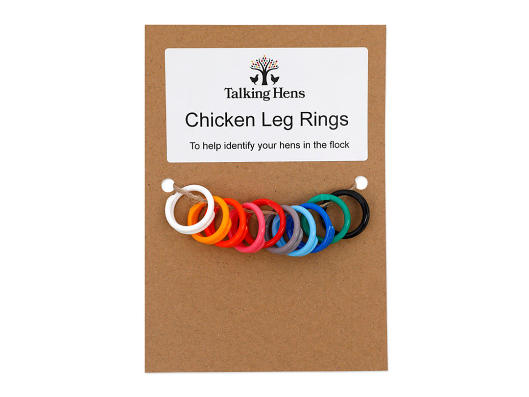 Leg Rings – Talking Hens
