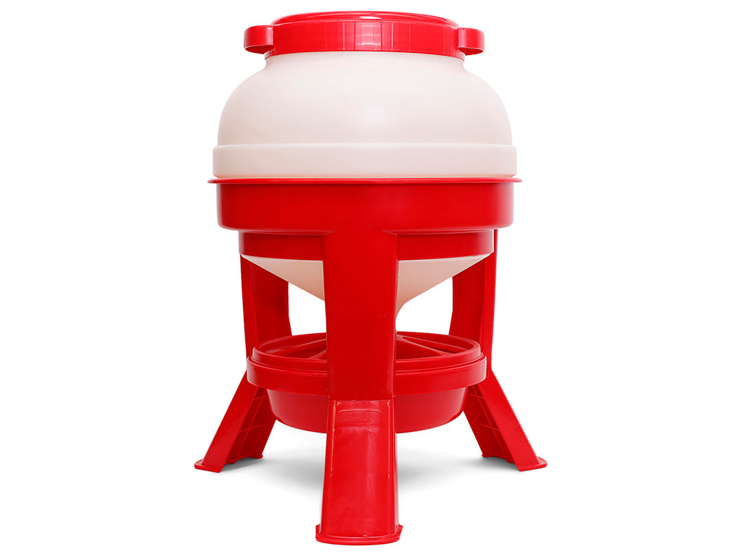 Chick Grower Feed for 6–14 Week Chicks | Talking Hens