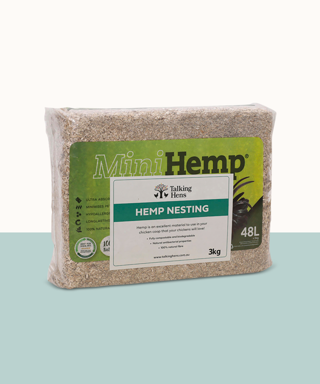 Hemp Nesting – Talking Hens