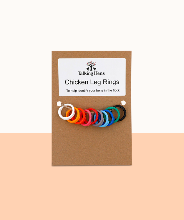 Leg Rings – Talking Hens