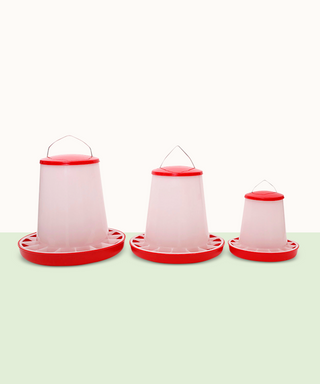 Essentials Starter Bundle for Chickens | Talking Hens