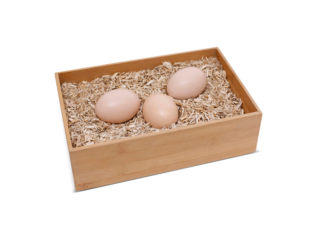 Nesting Eggs – Talking Hens